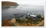 Reef Campground | California Diver Magazine