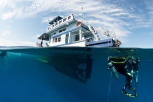 5 Tips for Awesome Over-Under Photos | California Diver Magazine