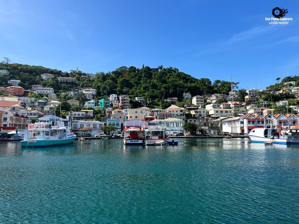 Scuba Diving the Spice Island of Grenada | California Diver Magazine