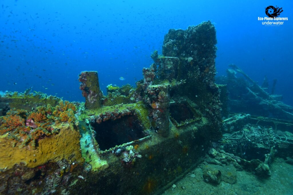 Scuba Diving the Spice Island of Grenada | California Diver Magazine