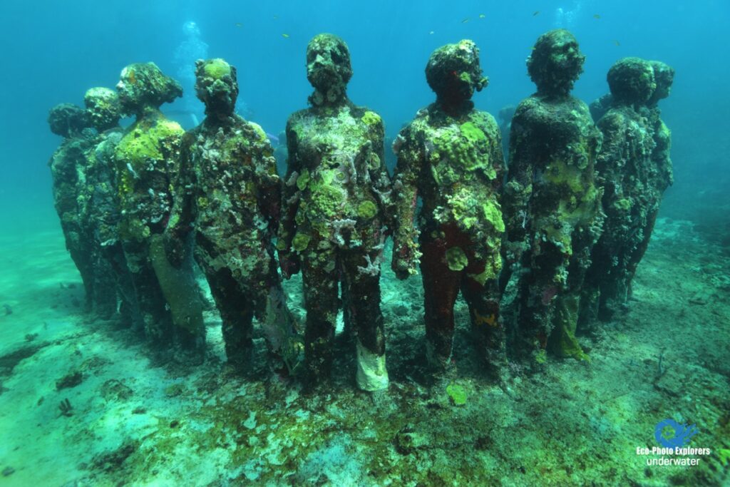 Scuba Diving the Spice Island of Grenada | California Diver Magazine