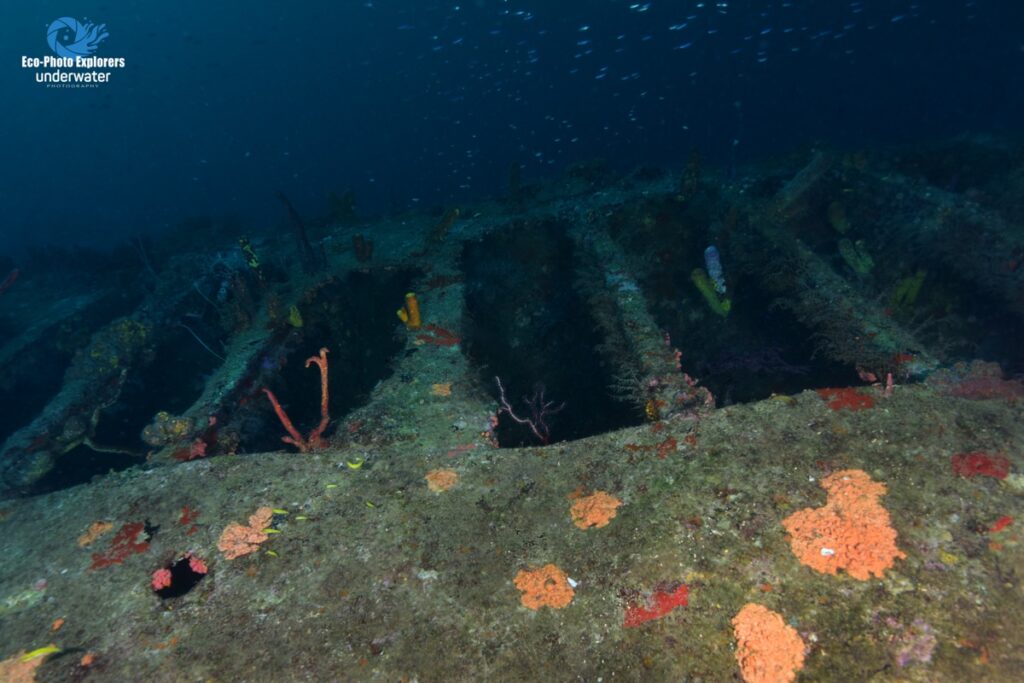 Scuba Diving the Spice Island of Grenada | California Diver Magazine